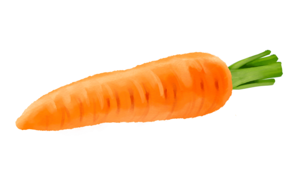 Gulerod - dengamlefabrik.dk