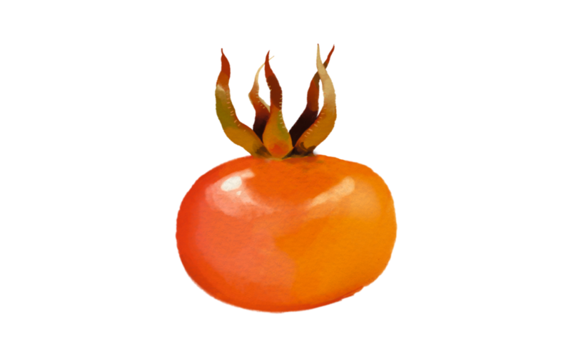 Hyben - dengamlefabrik.dk